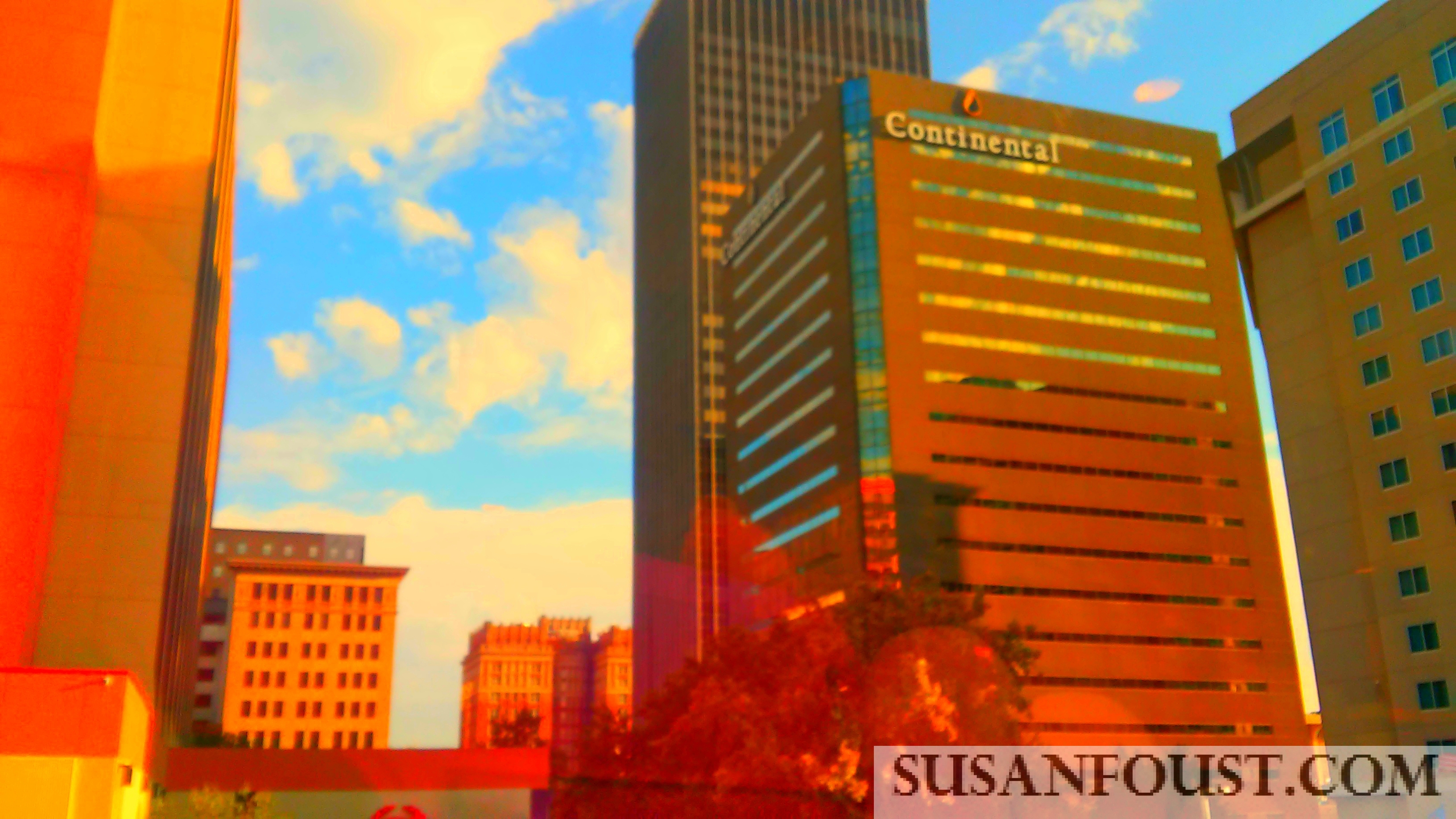 OKC1 – Susan Foust Aluminum Photos